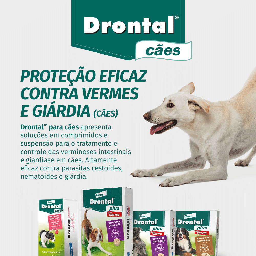 Drontal Plus cães até 10kg: Vermífico para cães com o melhor preço ...